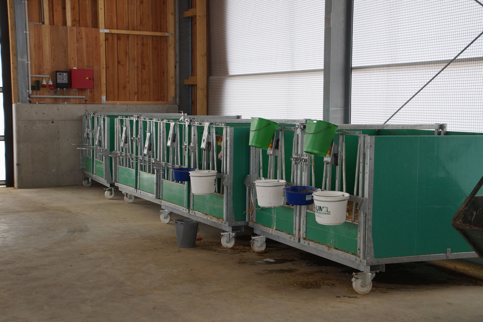 braeuer.cc | Rinder | Kälberställe | Fahrbare Kälber-Doppelbox