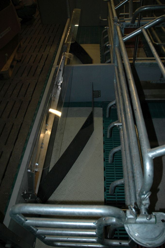 braeuer.cc | Pigs | Farrowing pens | Free-Farrowing Pen