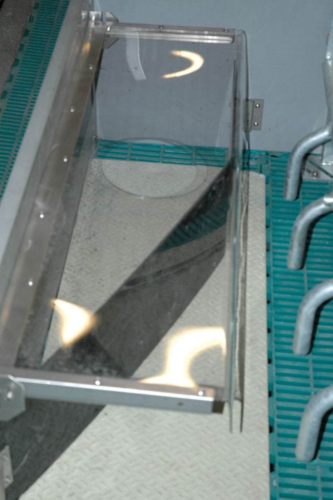 braeuer.cc | Pigs | Farrowing pens | Free-Farrowing Pen