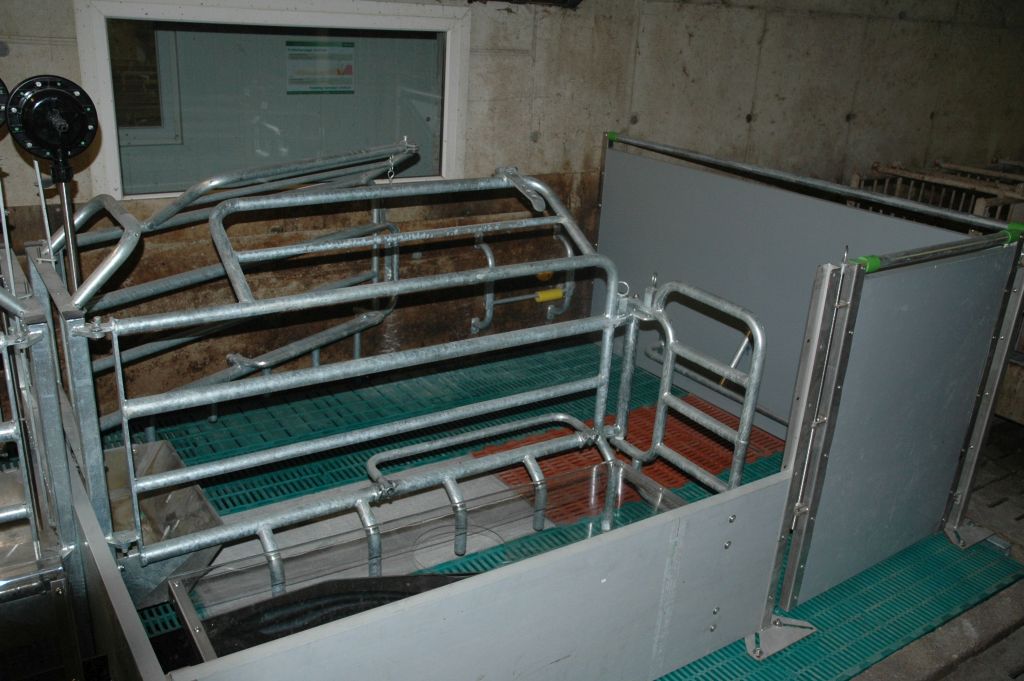 braeuer.cc | Pigs | Farrowing pens | Free-Farrowing Pen