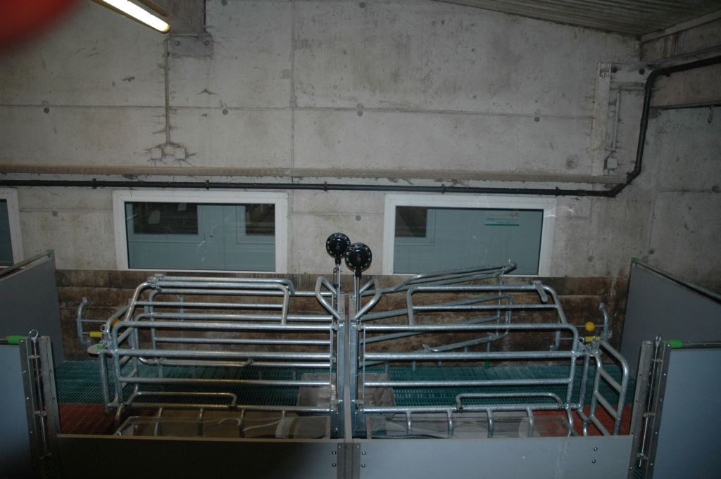 braeuer.cc | Pigs | Farrowing pens | Free-Farrowing Pen