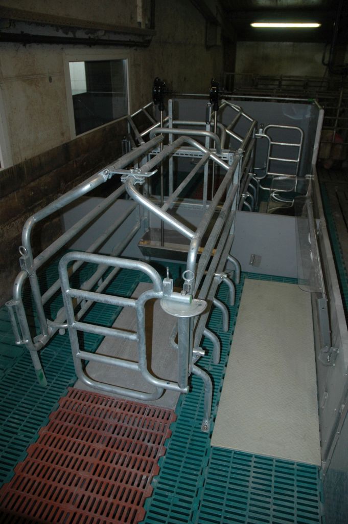braeuer.cc | Pigs | Farrowing pens | Free-Farrowing Pen