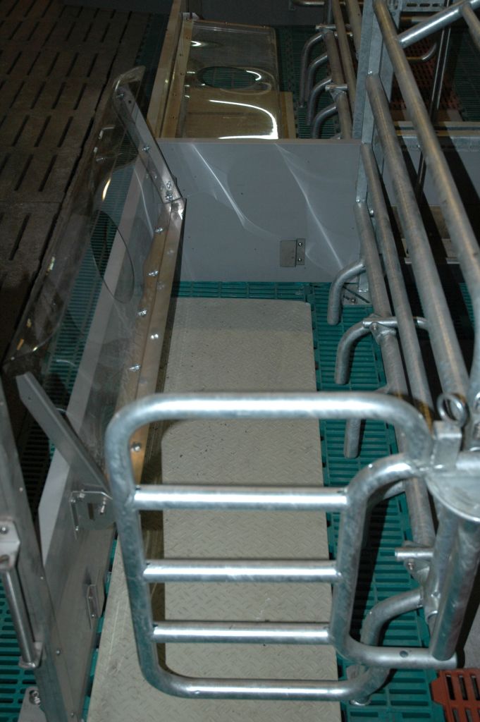 braeuer.cc | Pigs | Farrowing pens | Free-Farrowing Pen