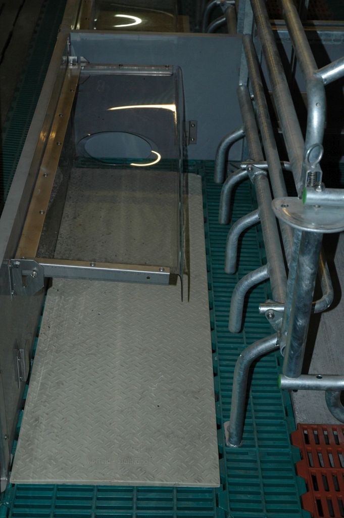 braeuer.cc | Pigs | Farrowing pens | Free-Farrowing Pen